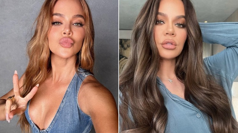 6 Stars Who Slayed The Switch From Blonde To Brunette