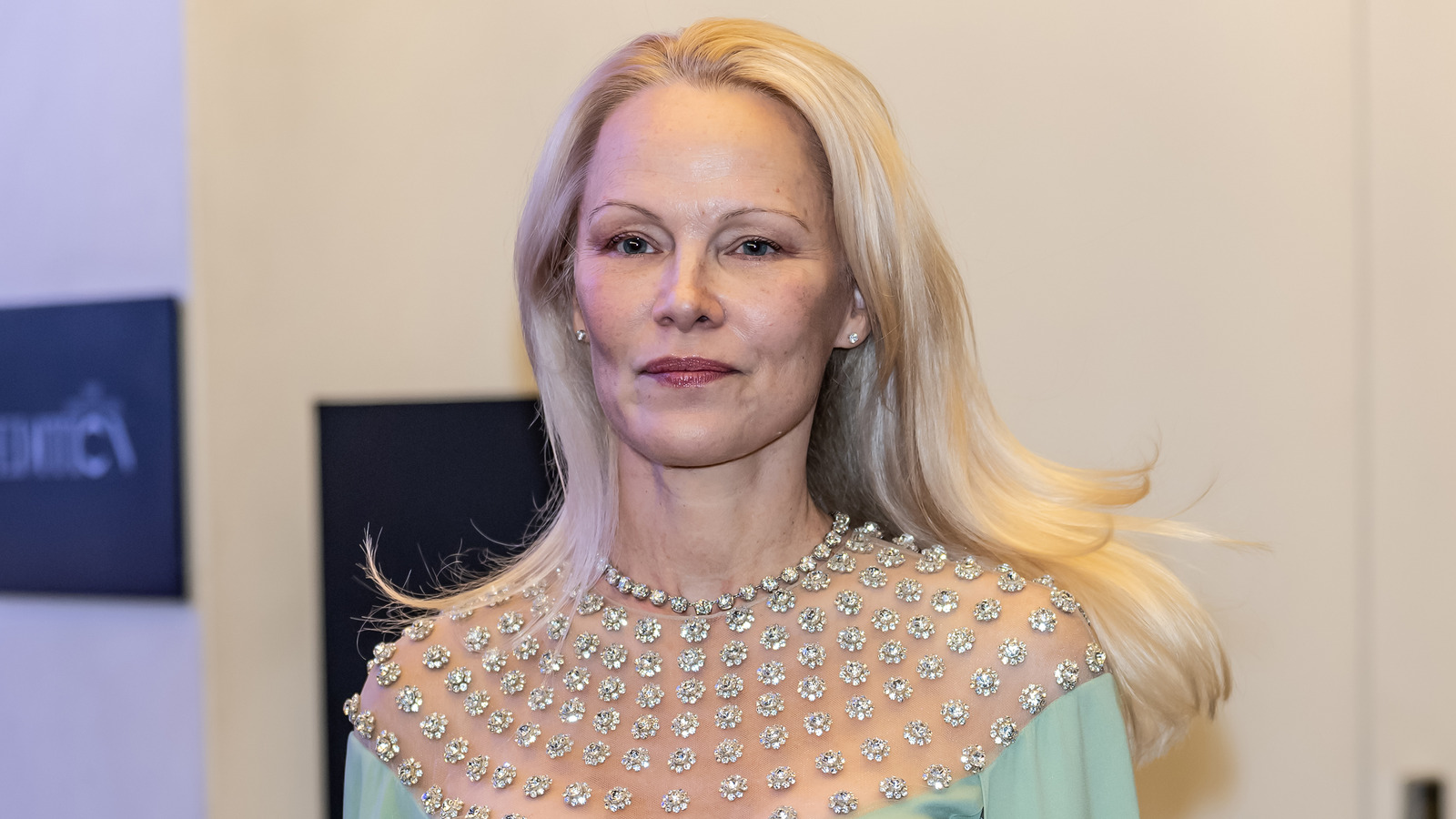 A Look Back At Pamela Anderson's Marriage That Lasted Less Than 2 Weeks