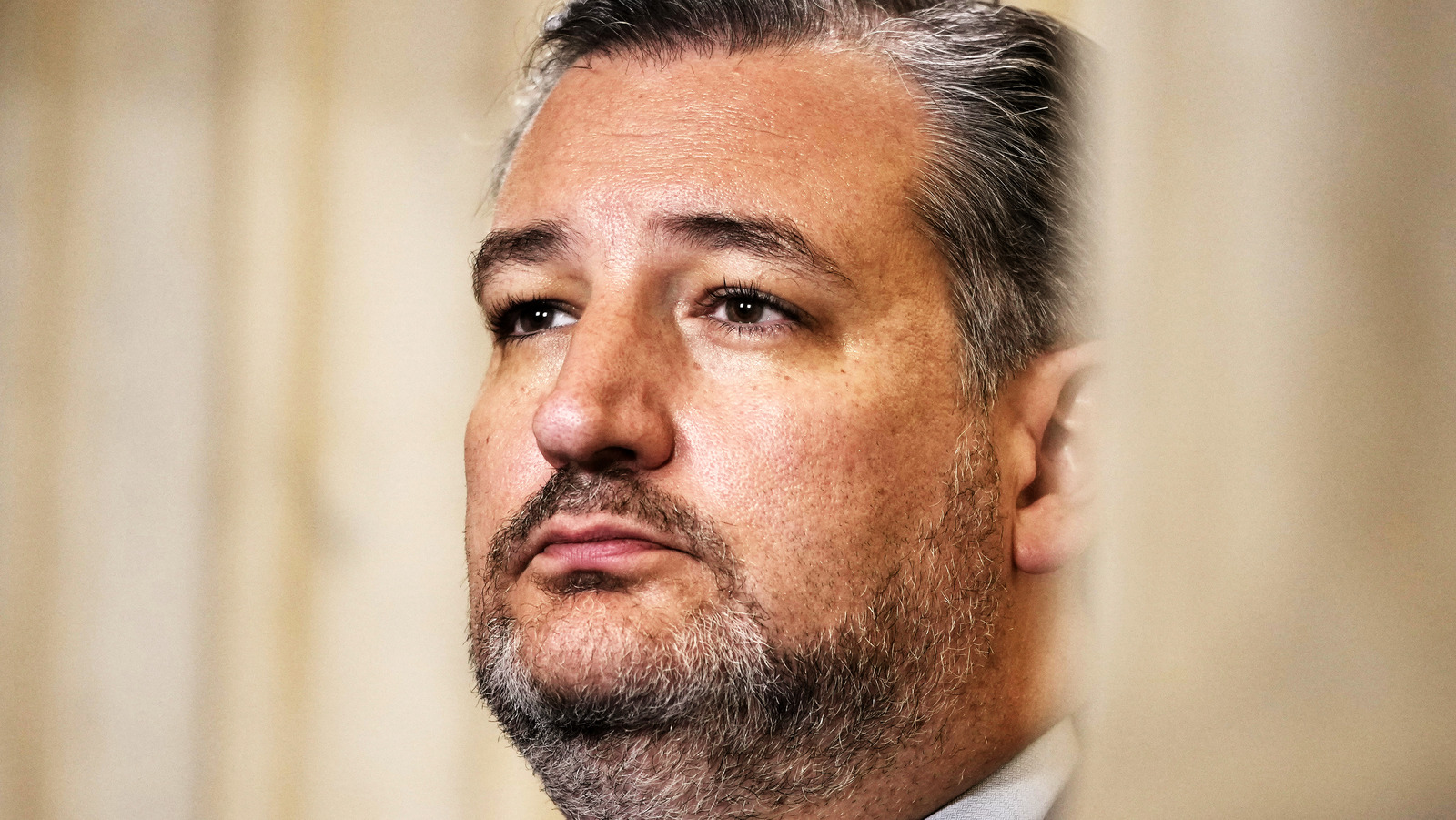 A Clip Of Ted Cruz Versus A Fly Has The Internet Buzzing