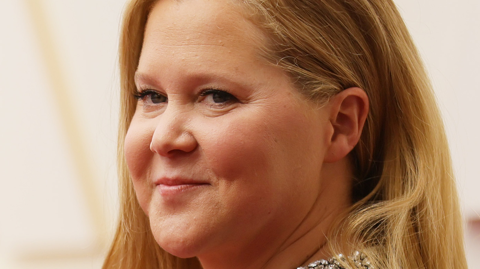 Amy Schumer's Oscars Joke About Will Smith Has Everyone In Agreement