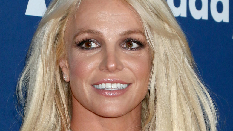 Britney Spears Latest Instagram Post Reveals Unexpected Details About
