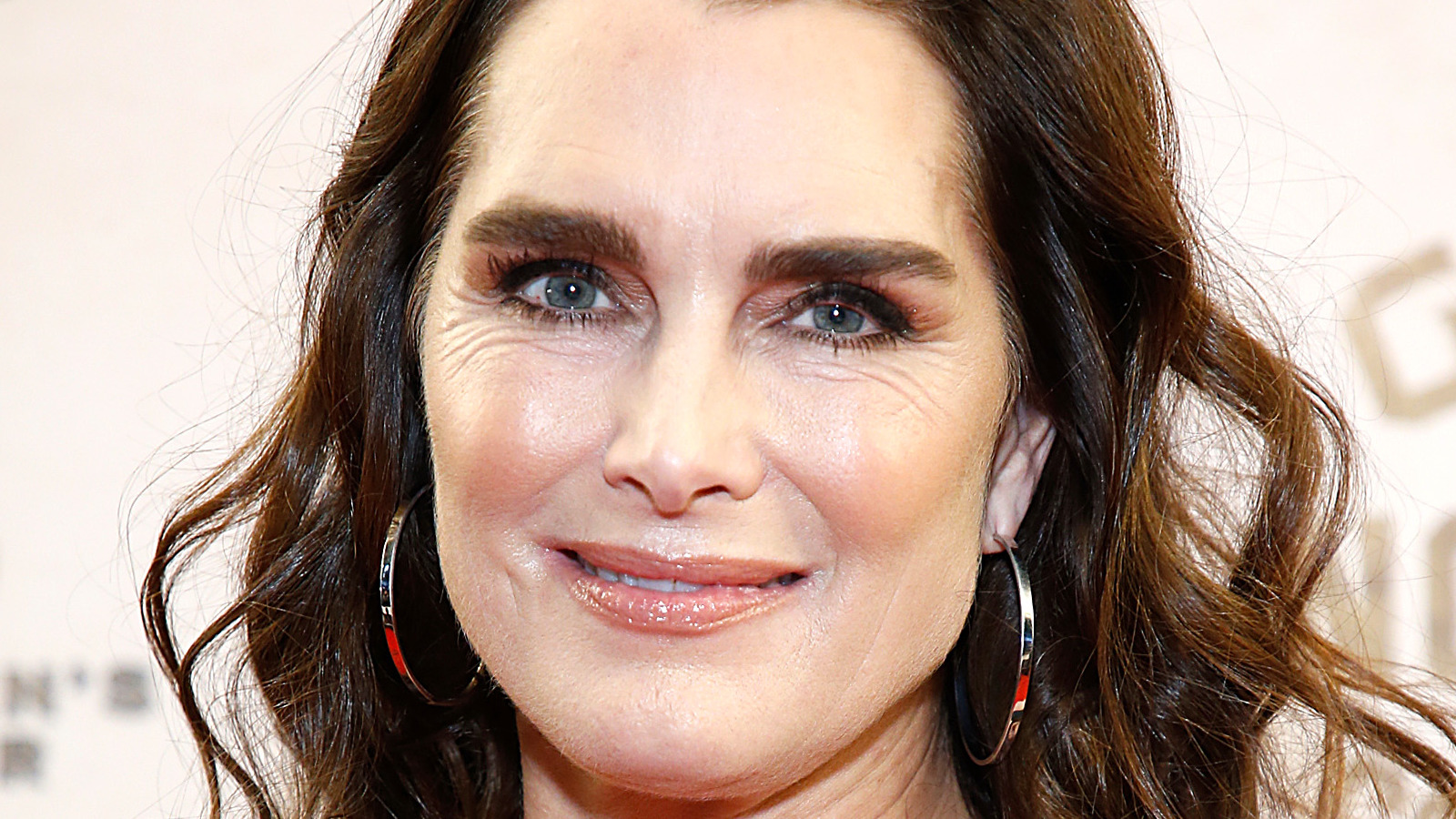 Brooke Shields Gives A Health Update After Her Horrifying Accident