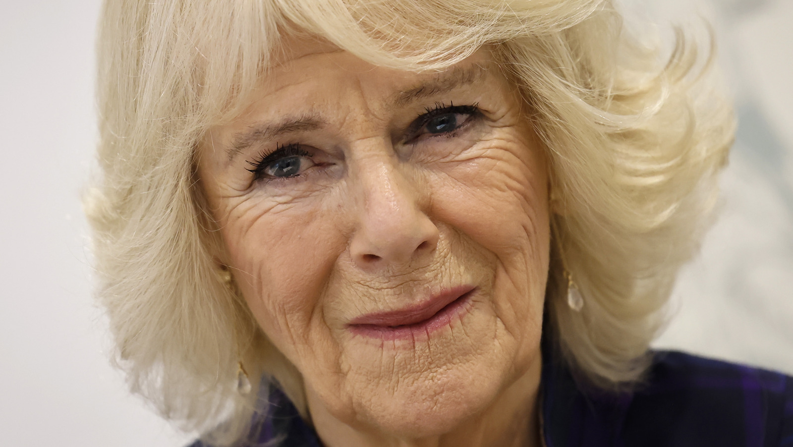 Camilla's Life Was Never The Same After Meeting Prince Charles