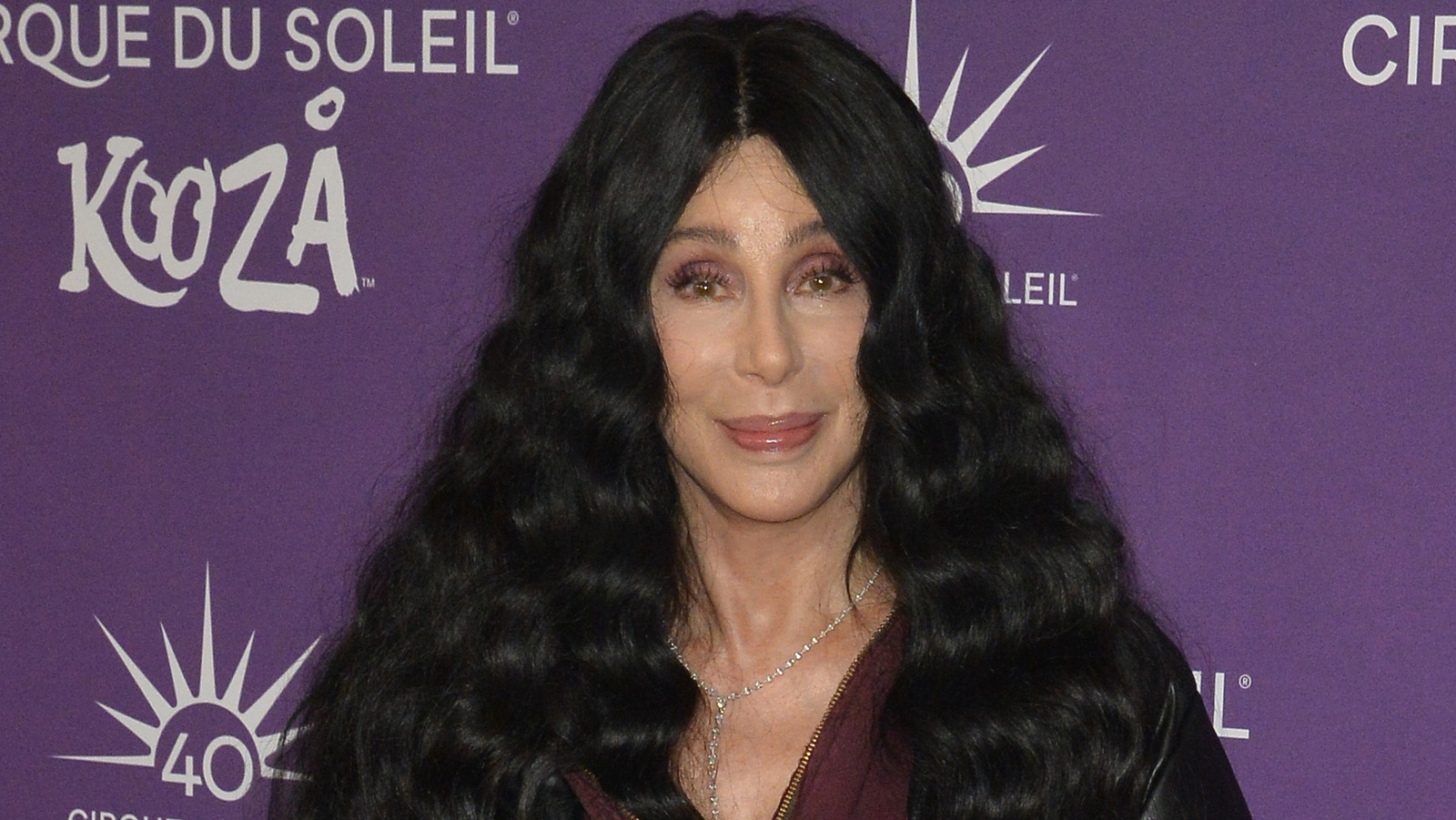 Cher Isn't Shy With Her Real Feelings About Donald Trump
