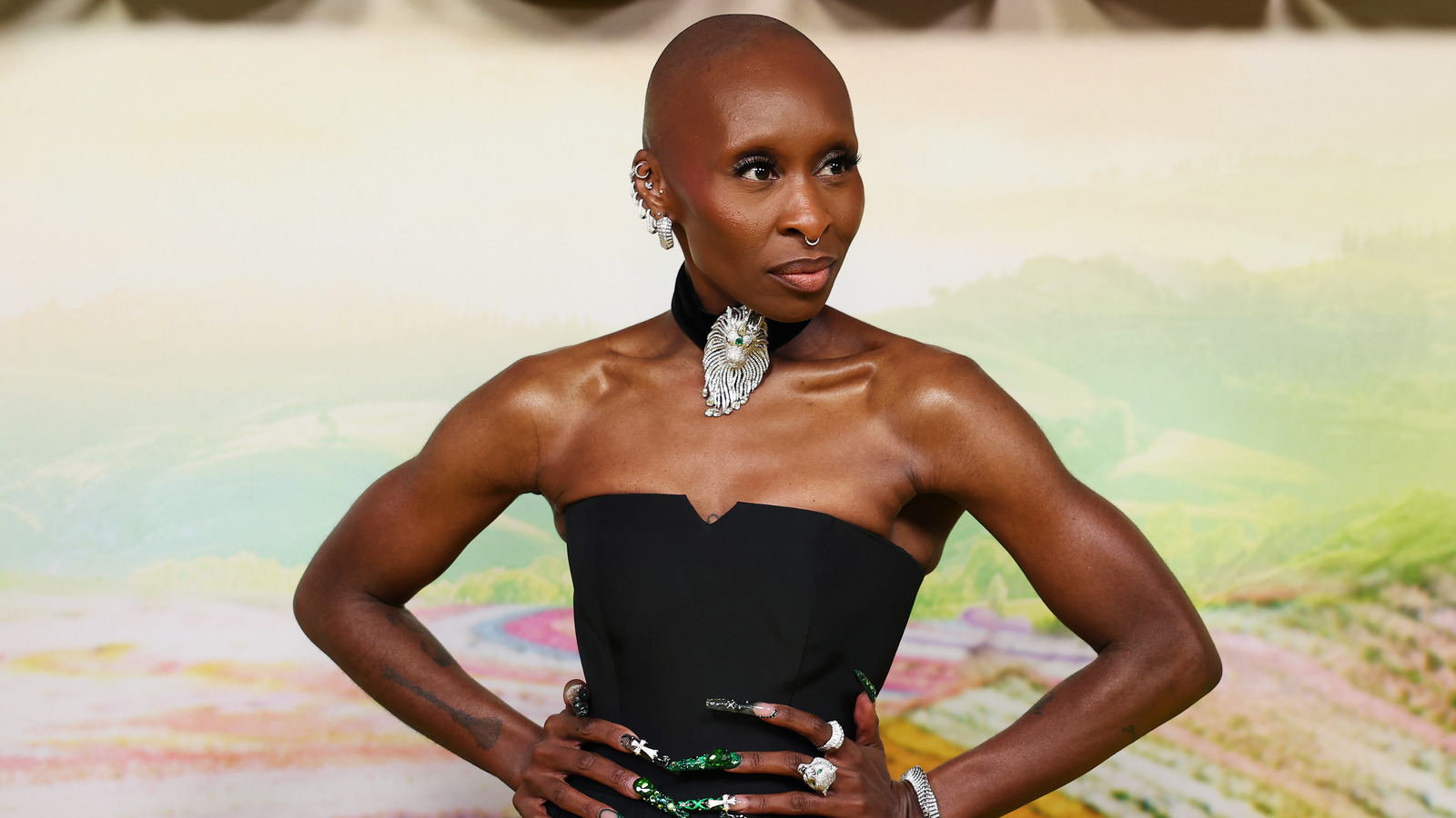 Cynthia Erivo Made Shady Comments About The Actors Who Auditioned For ...
