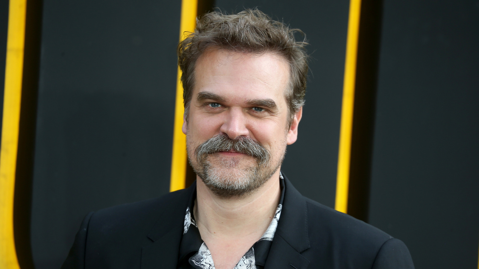 David Harbour's Rumored Feud With Stranger Things Co-Star Won't Help ...