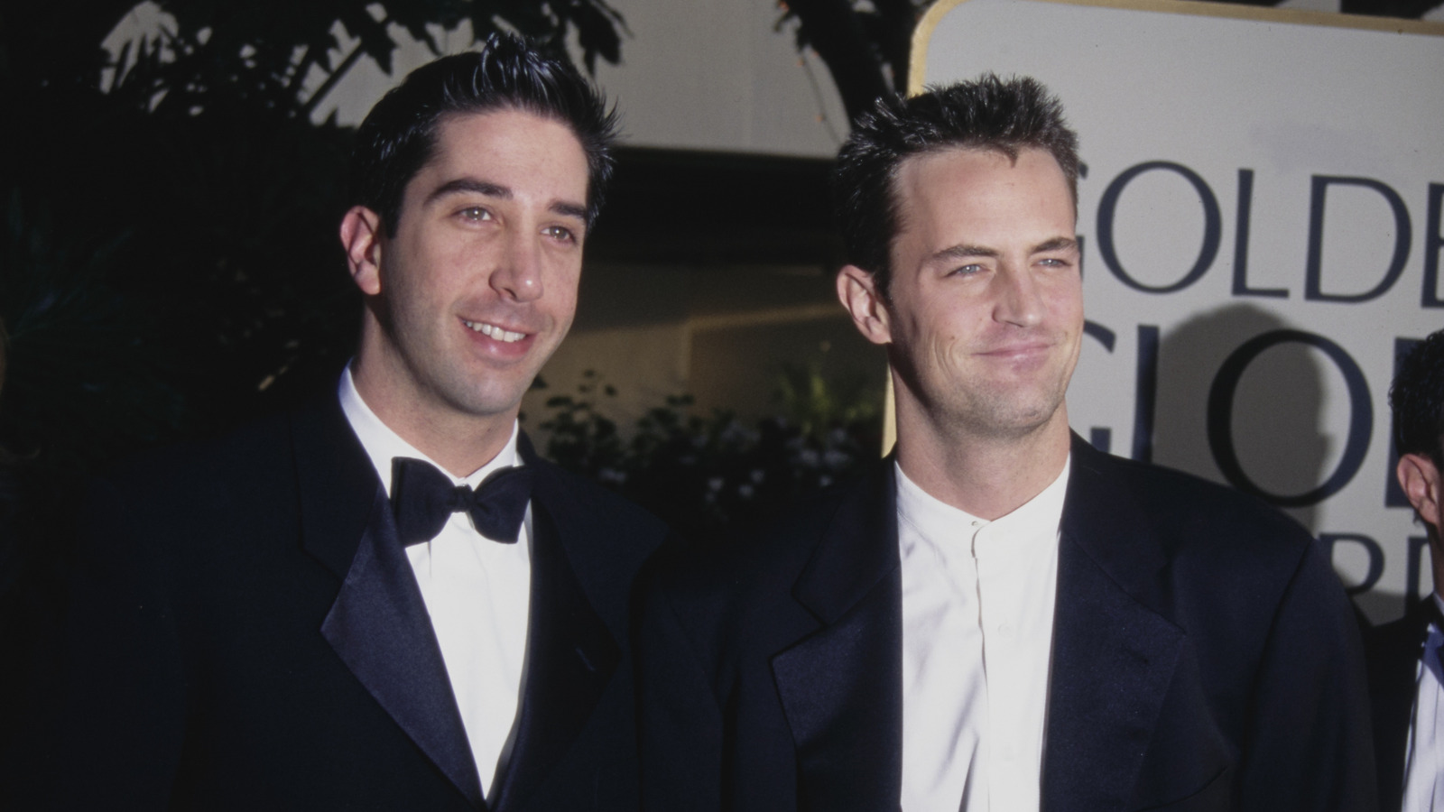 David Schwimmer's Ode To Matthew Perry Makes Us Cry And Laugh At The ...