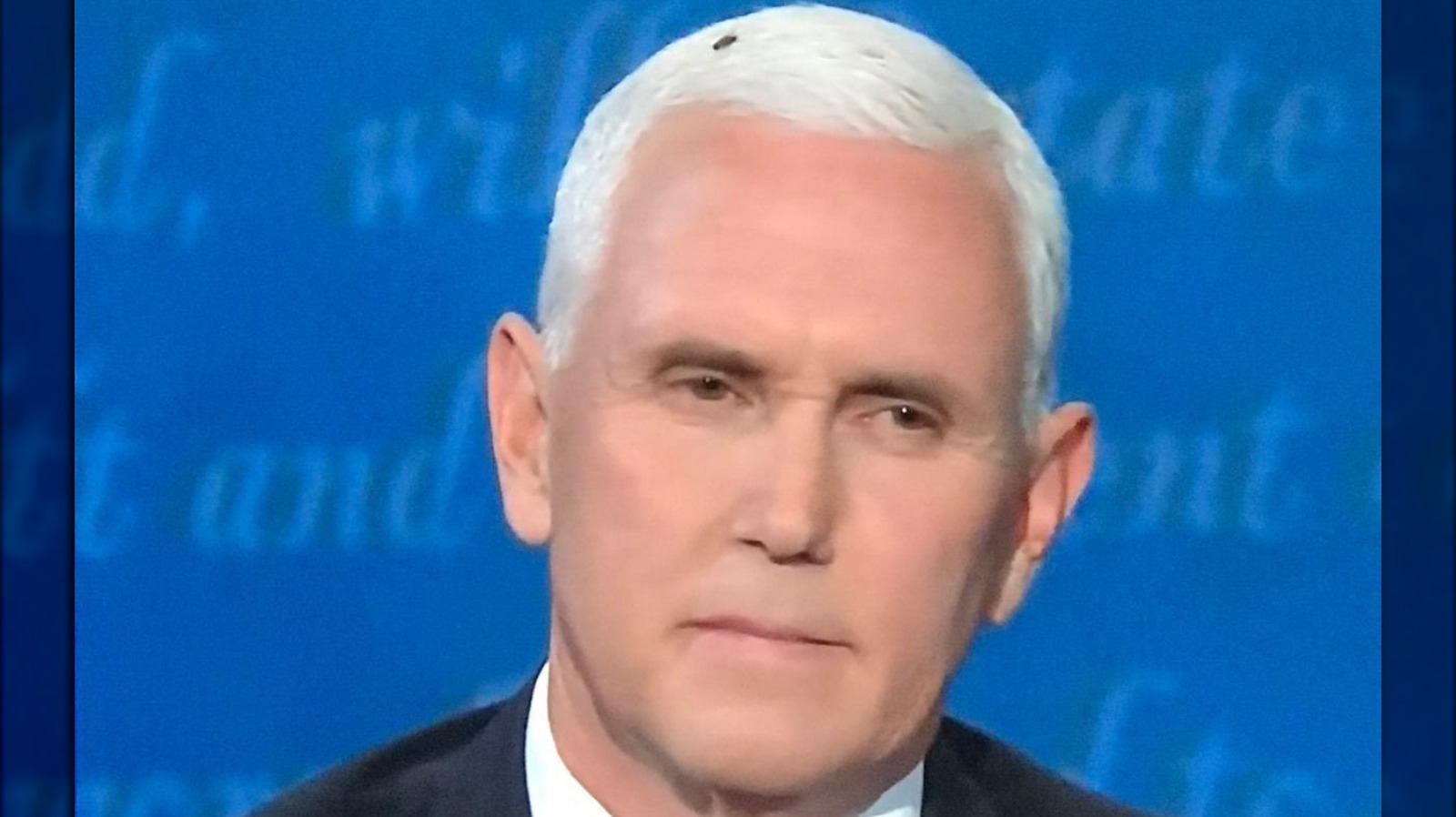 Did A Fly Get Stuck In Mike Pence's Hair During The Debate?