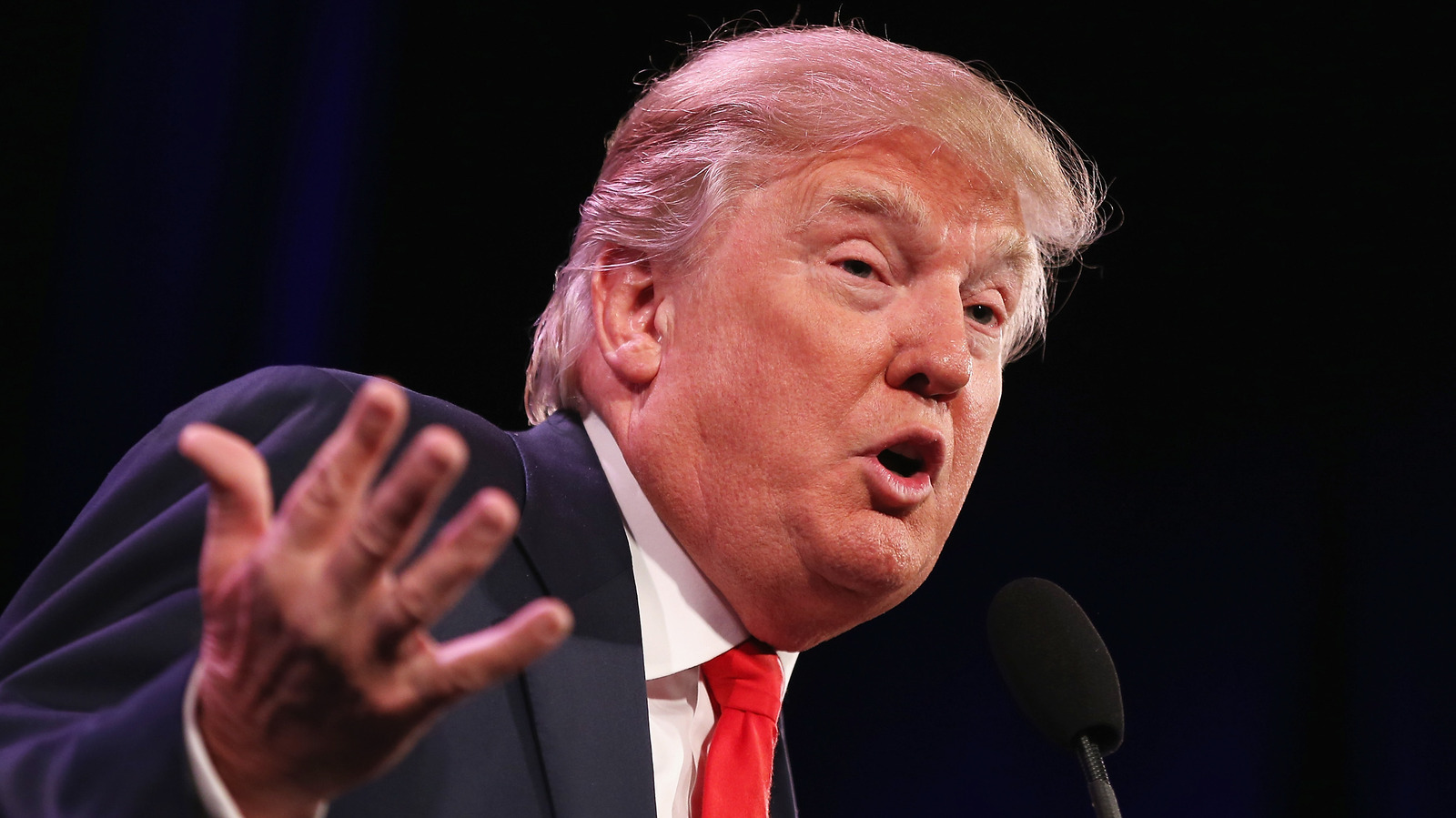 Donald Trump's Complete Hair Transformation