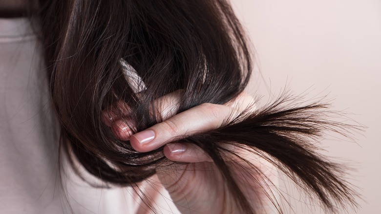 Dry Vs Dull Hair: What's The Difference? Dry Vs Dull Hair: What's The Difference?