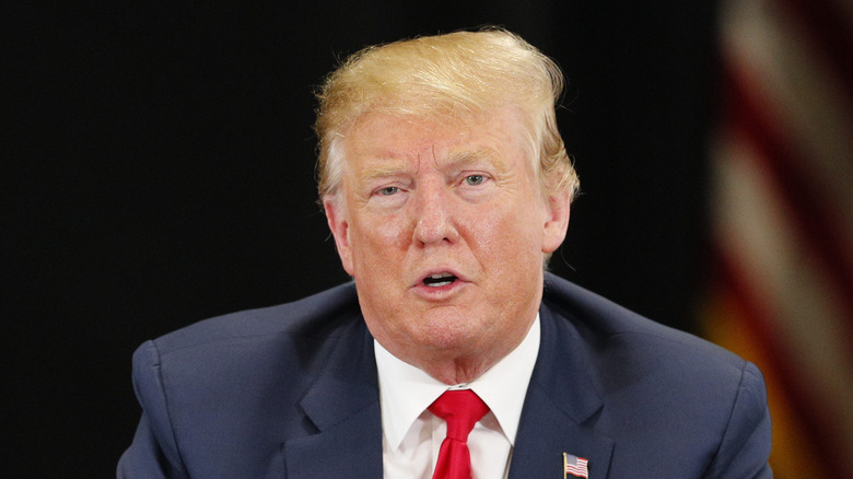 Everything We Know About Donald Trump's Attorney, Alina Habba