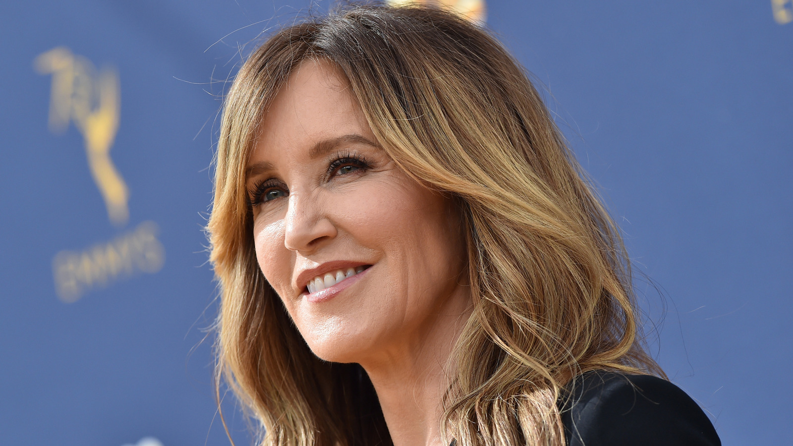 Felicity Huffman's Legal Issues, Explained