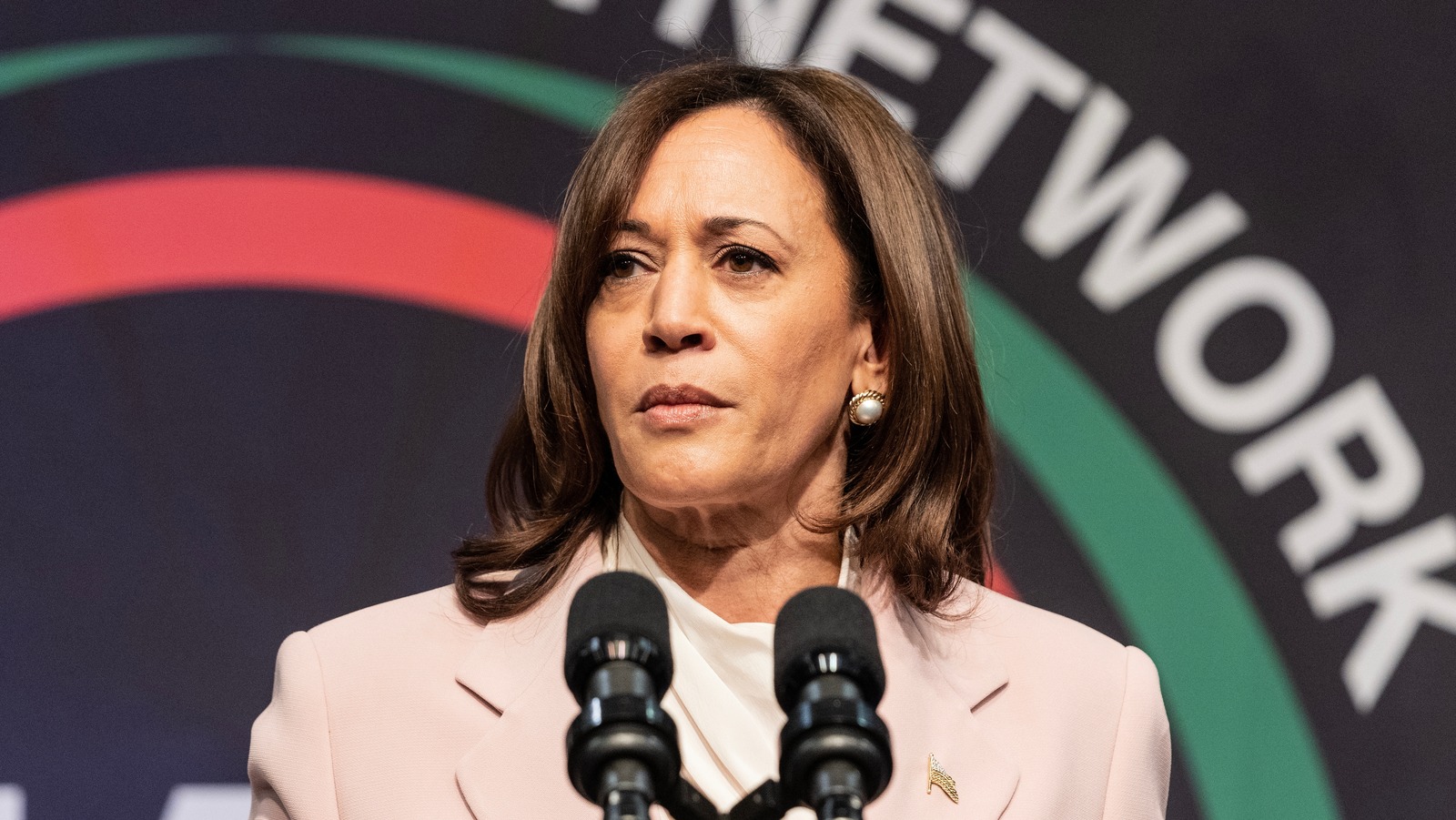 Heartbreaking Details About Kamala Harris Heartbreaking Details About Kamala Harris