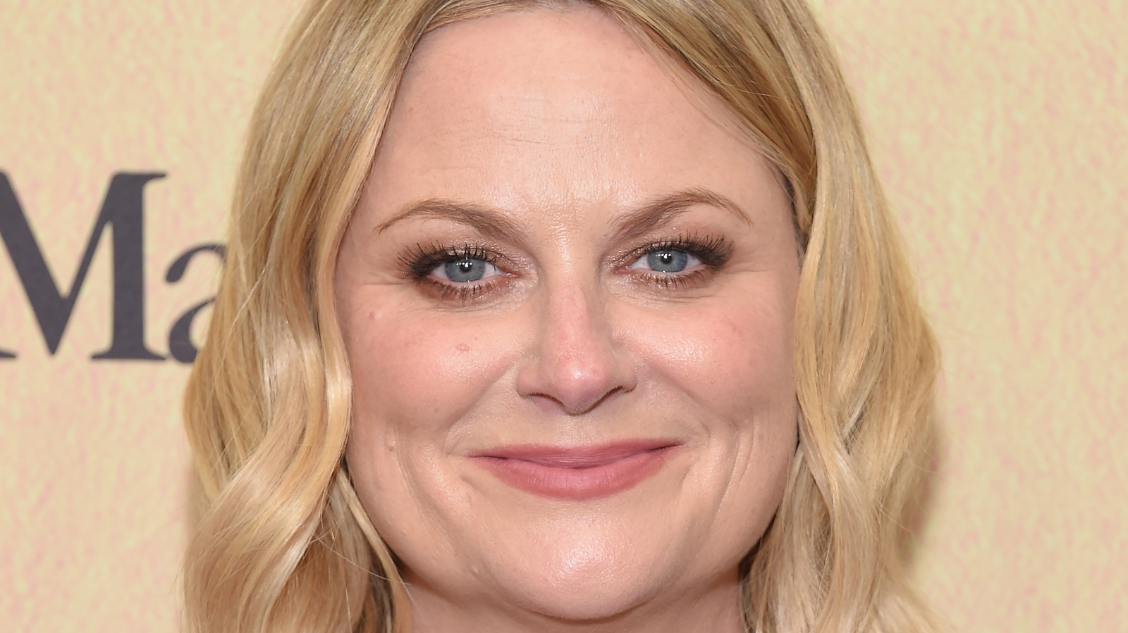 Here's How Tall Amy Poehler Really Is