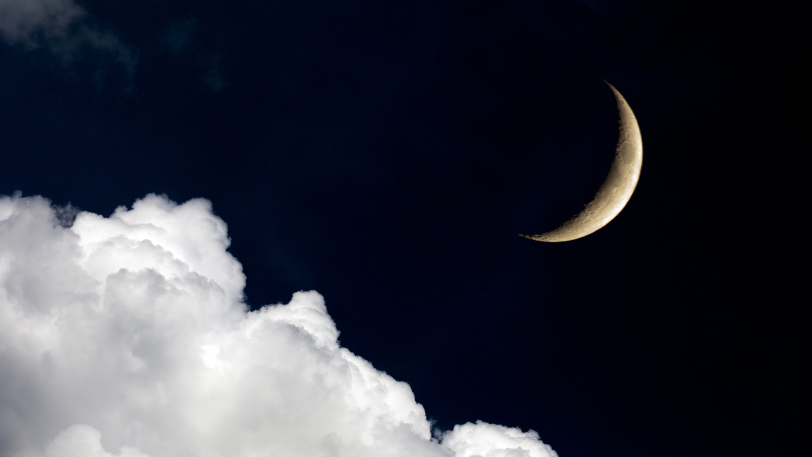 Here's How The New Moon On August 8 Will Affect You If You're A Capricorn