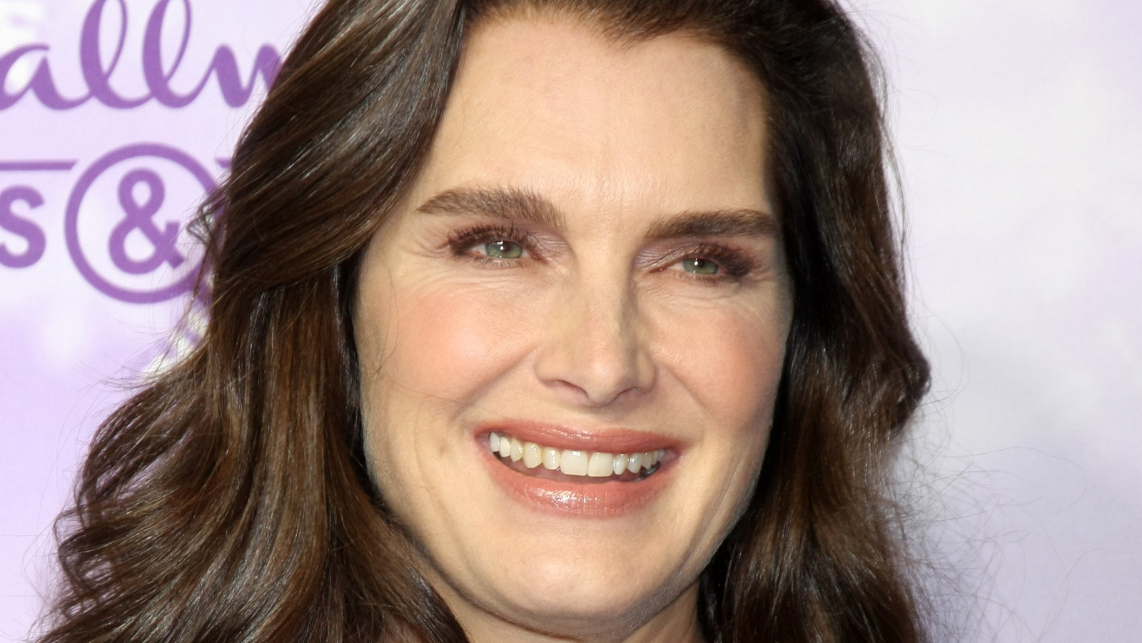 Here's What Brooke Shields Studied In School