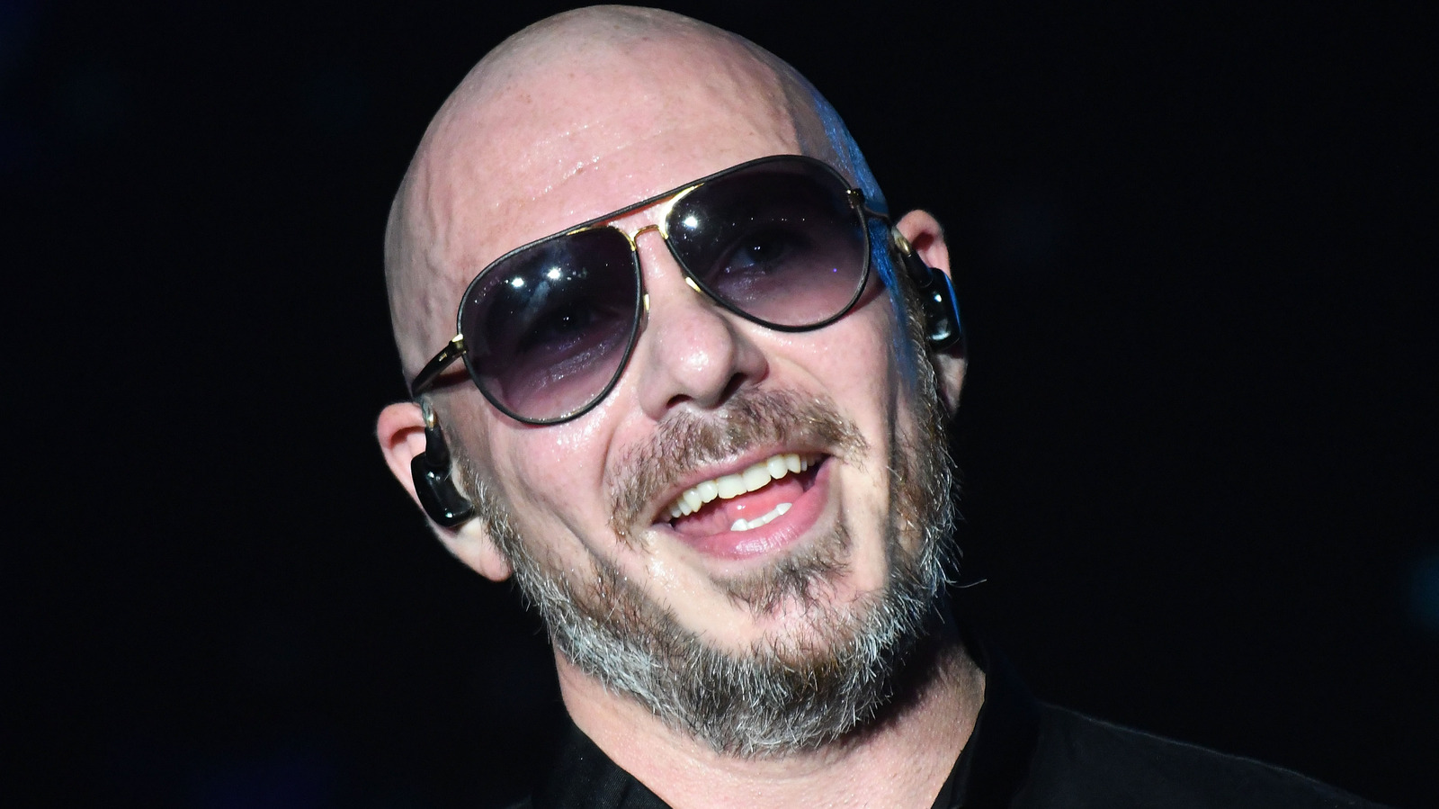 Pitbull Rapper Med Hår
