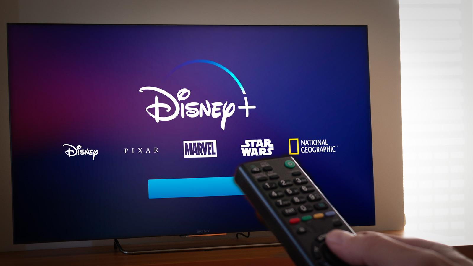 Here's What To Look Forward To On Disney+ This Year