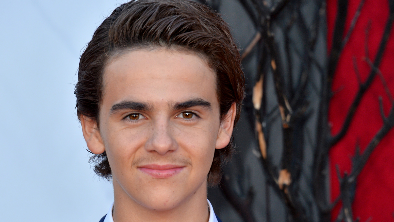 Here's Why Alberto's Voice From Luca Is So Familiar