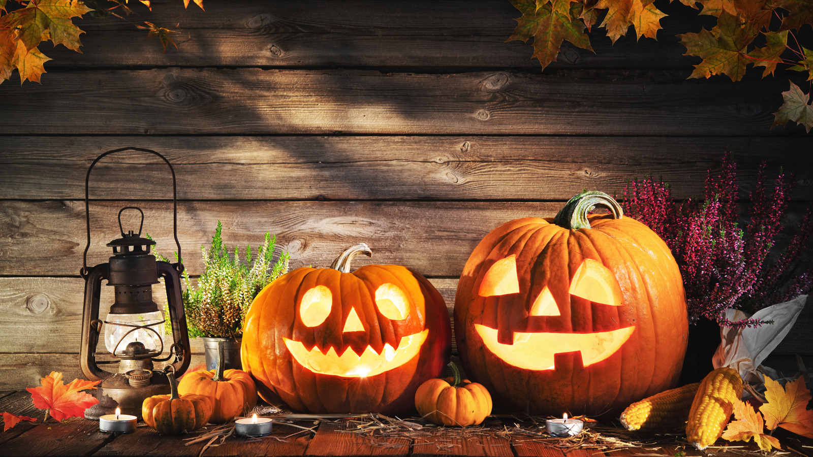 Here s Why We Put Out Jack O Lanterns On Halloween