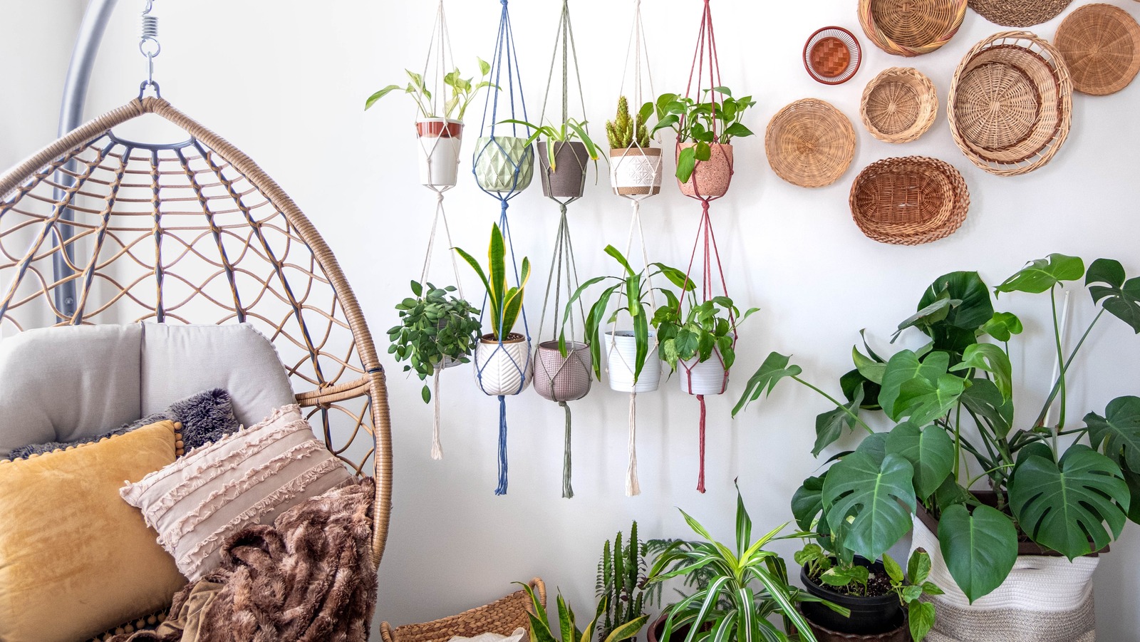 HGTV's Christina Haack Shared A Brilliant Staging Tip For Your Houseplants