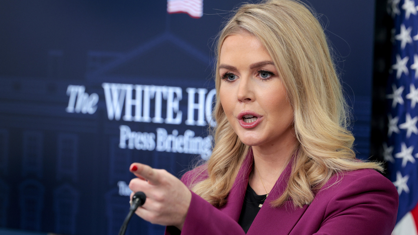 Hollywood Stars Who Can't Stand Karoline Leavitt