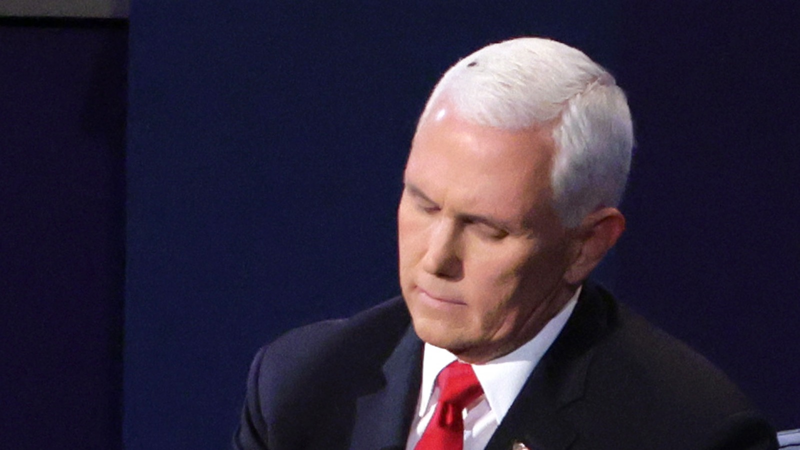 How Long Was The Fly On Mike Pence's Head?