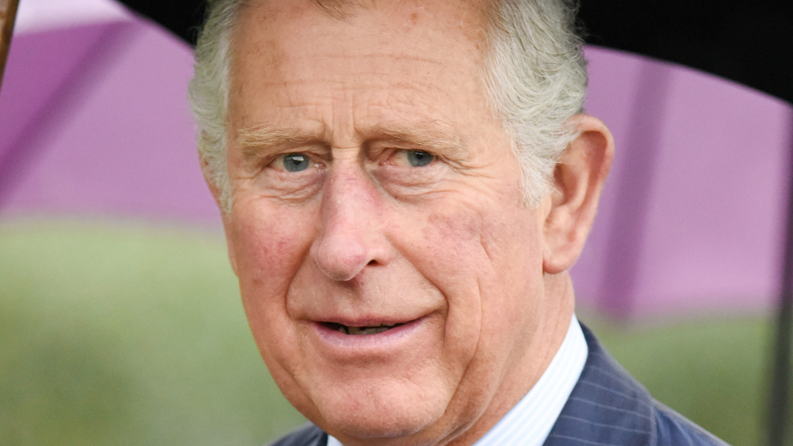 How Meghan And Harry's Royal Status Could Change When Prince Charles ...