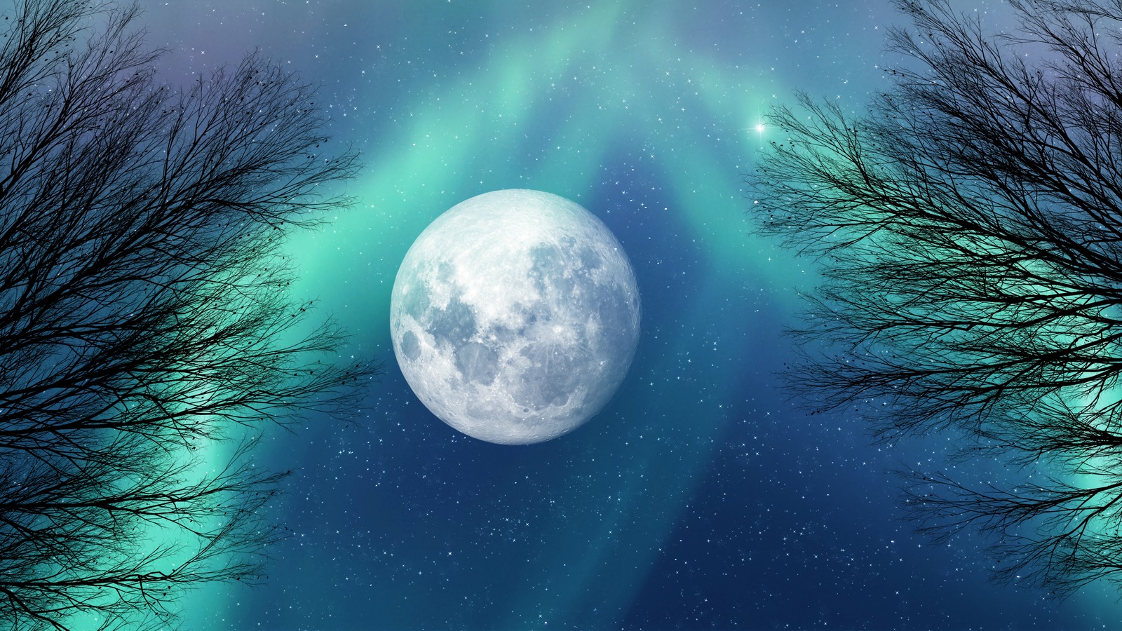 How The August 11 Full Moon Will Affect You If You're A Taurus