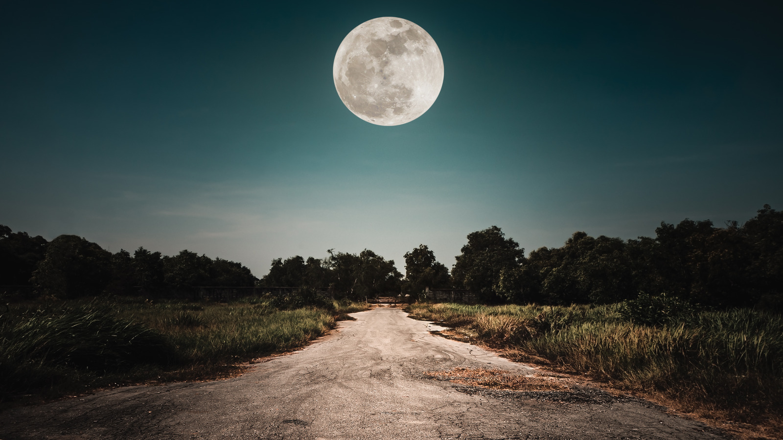 How The Dec. 18 Full Moon Will Affect You If You're A Pisces