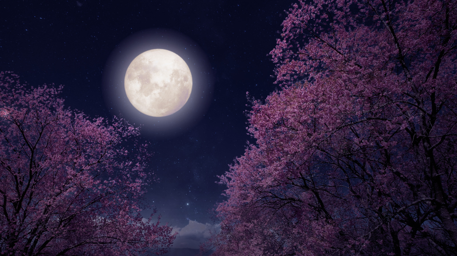 How The Dec. 18 Full Moon Will Affect You If You're A Scorpio