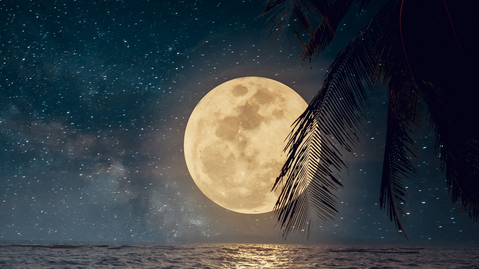 How The Full Moon On June 24 Will Affect You If You're A Taurus