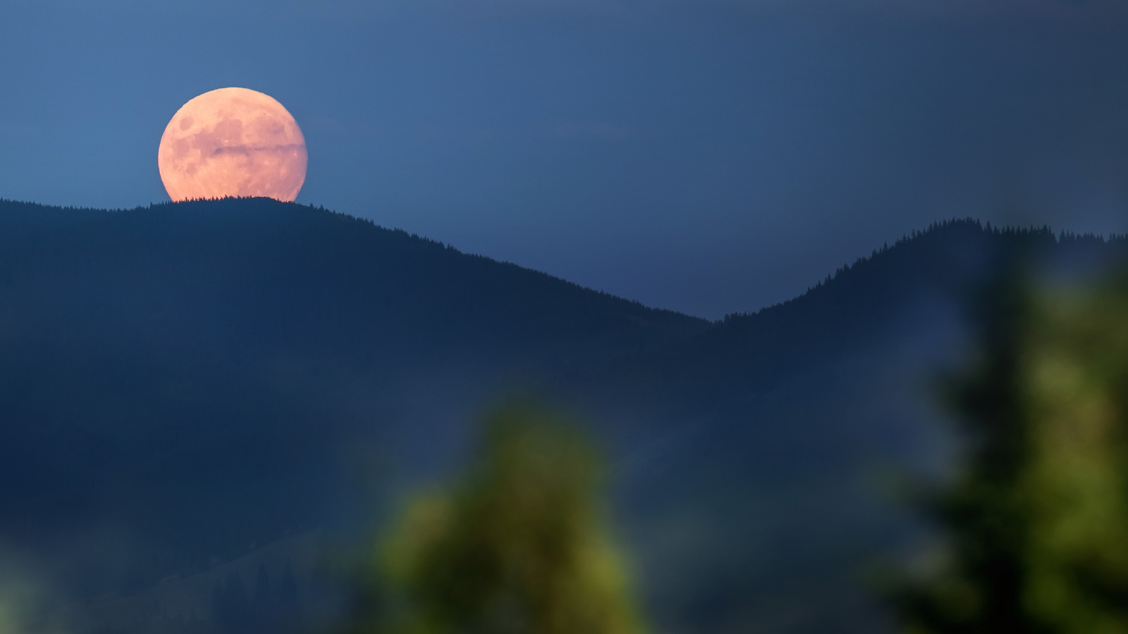 How The Jan. 17 Full Moon Will Affect You If You're A Virgo