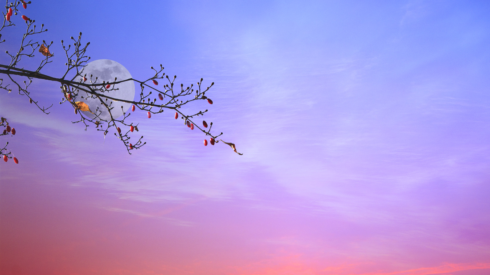 How The May 30 New Moon Will Affect You If You're A Leo