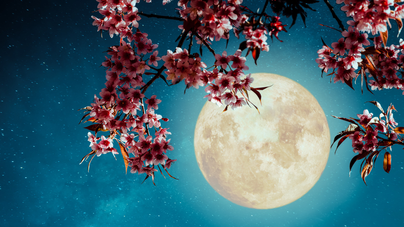 How The September 10 Full Moon Will Affect You If You're An Aries