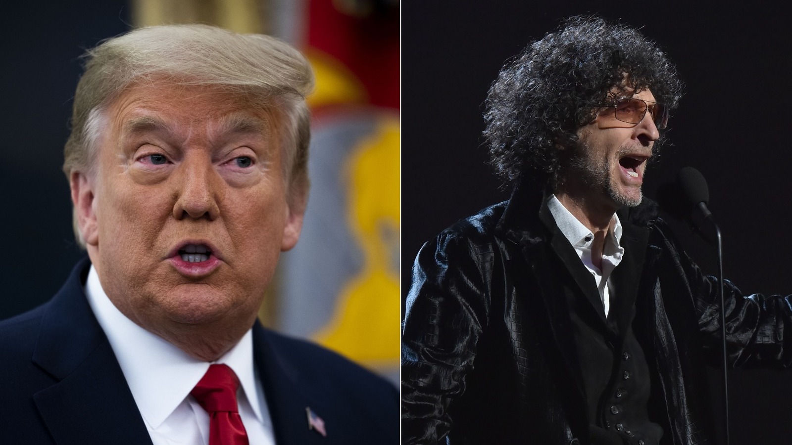 Howard Stern Has Harsh Words For Donald Trump