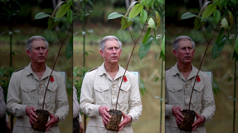 Inside King Charles III's Health Issues