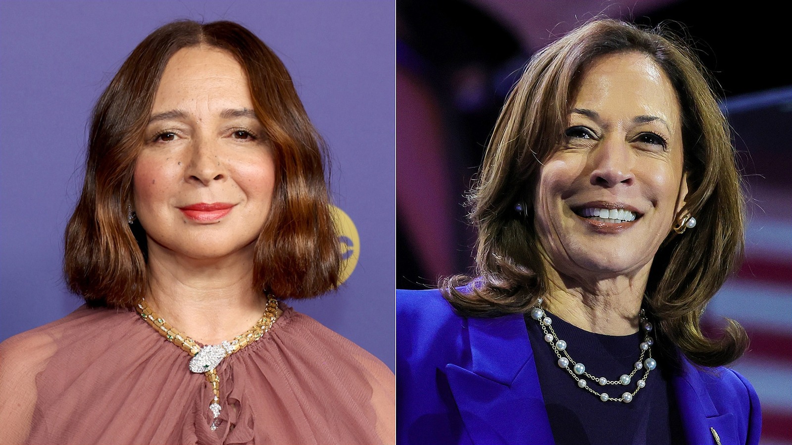 Inside The Odd Relationship Between Kamala Harris & Her SNL Mirror Maya Rudolph