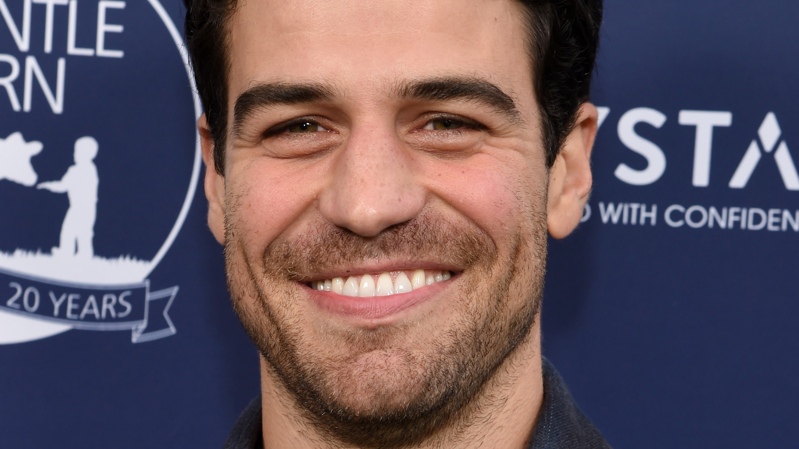 Joe Amabile Talks Bachelor In Paradise, Serena Pitt, And A New Project ...