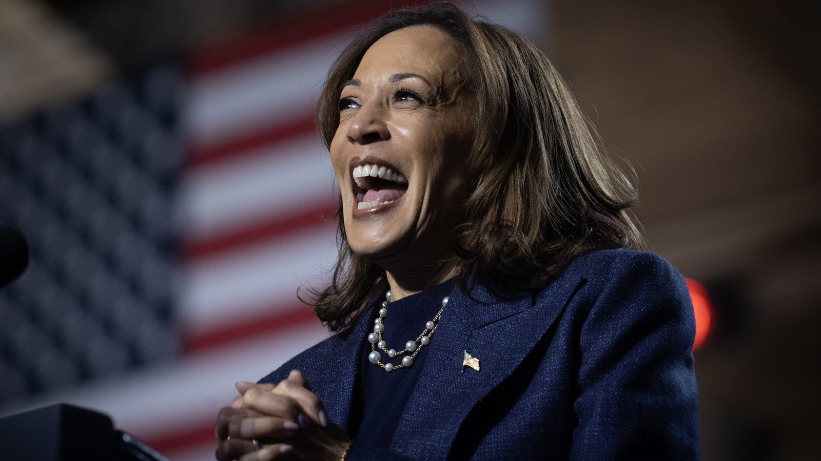 Kamala Harris Proves She Doesn't Need Presidency For A Lavish Life
