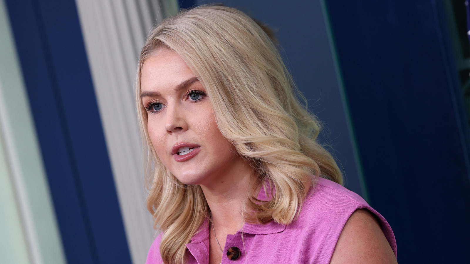 Karoline Leavitt's Big, Beautiful White House Video Totally Backfires ...
