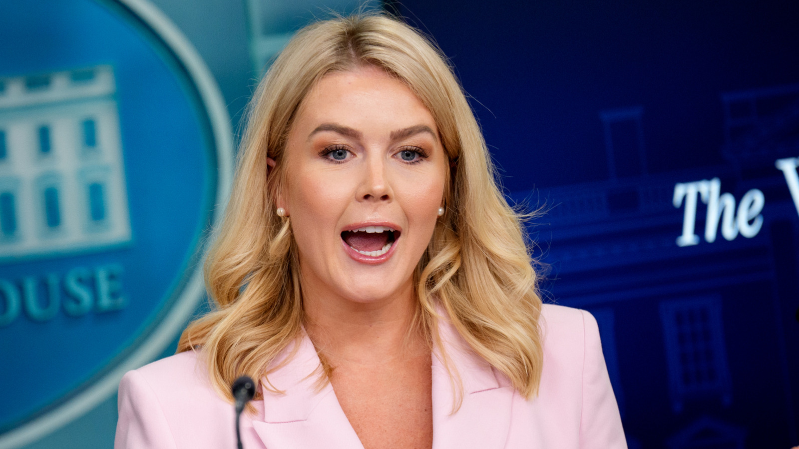 Karoline Leavitt's Look-Alike Mom Is Clearly Inspo For Her 'Politics In ...