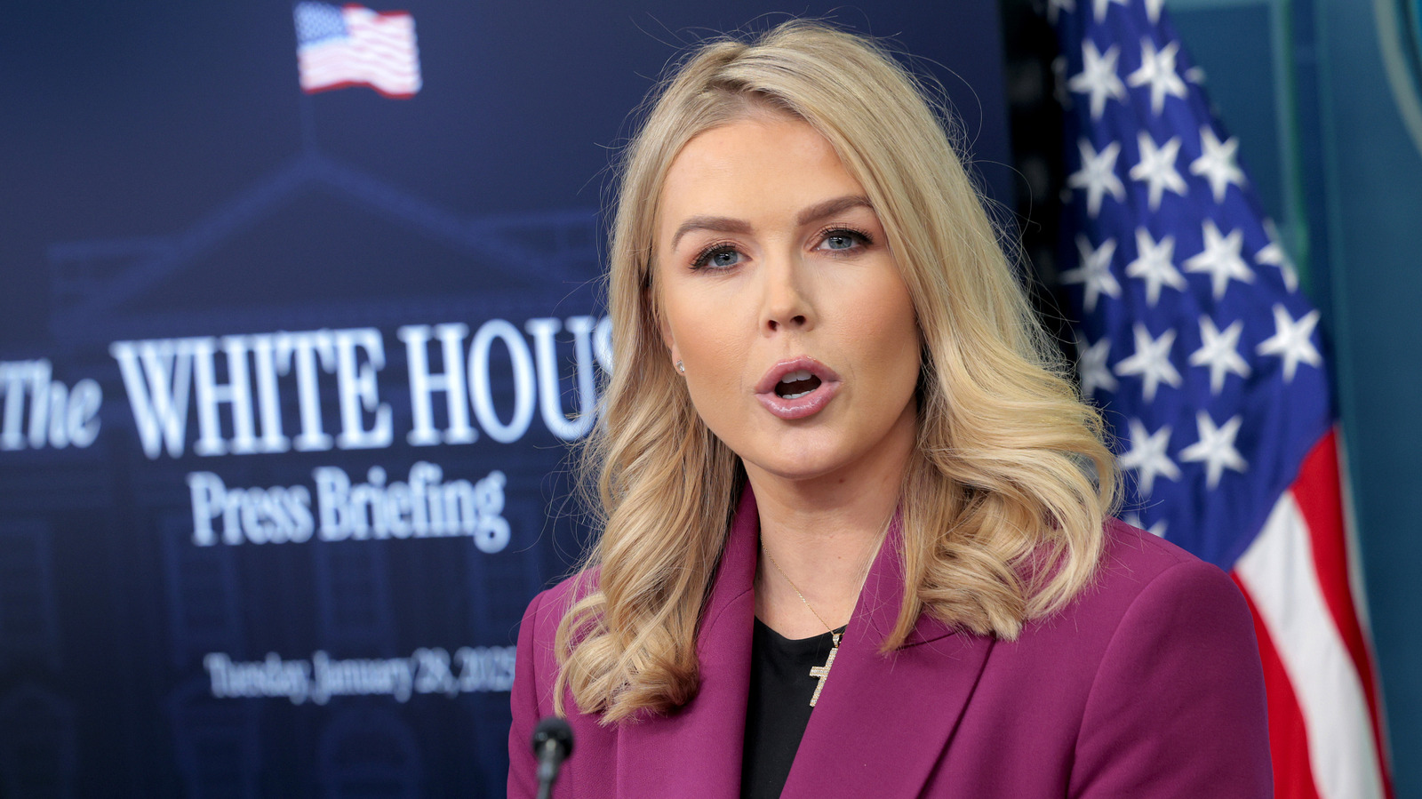 Karoline Leavitt's Pinked Out Diva Looks Scream White House Barbie (& Not In A Good Way)