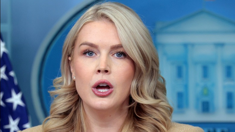 Karoline Leavitt's White House Return Proves Her Disastrous Style Won't ...