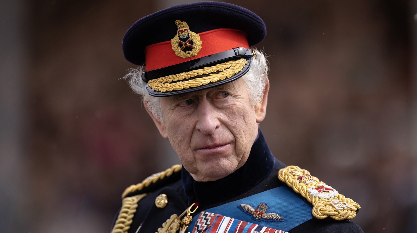 King Charles' 70th Birthday Portrait Was Full Of Behind-The-Scenes Drama