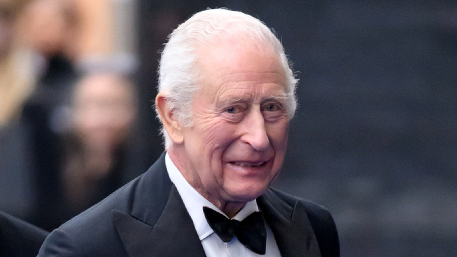 King Charles' Controversial New Portrait Sends A Clear Message To ...