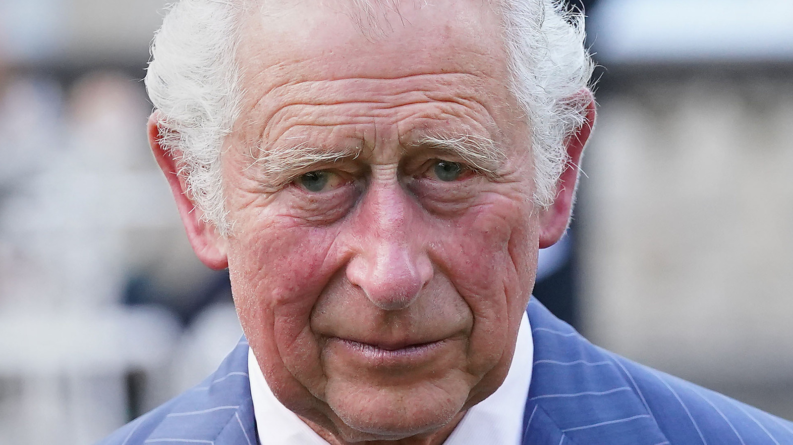 King Charles' Last Hope For His Sons Reportedly Revealed In Spare