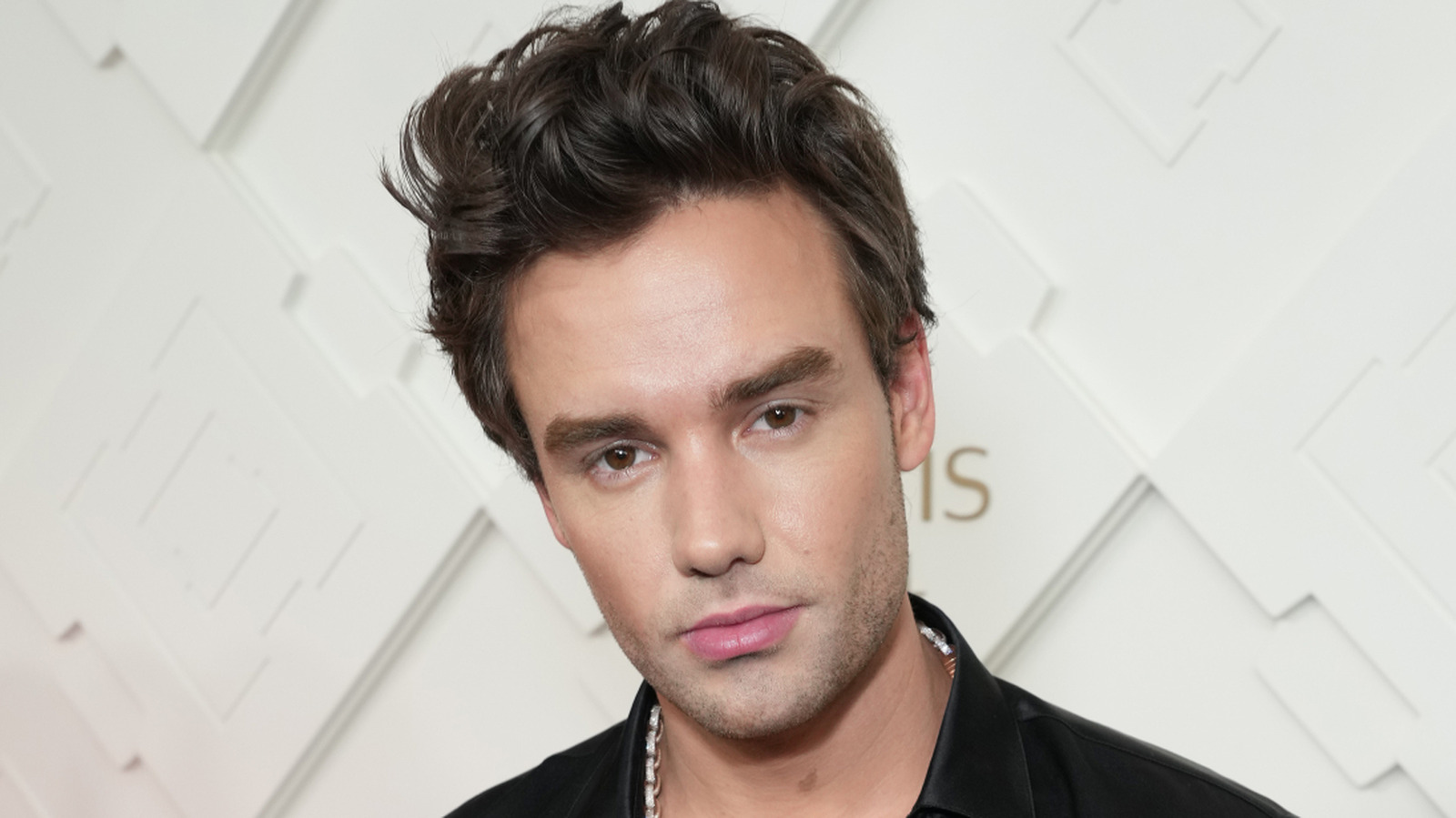 Liam Payne Didn't Mince Words On His Thoughts About Diddy