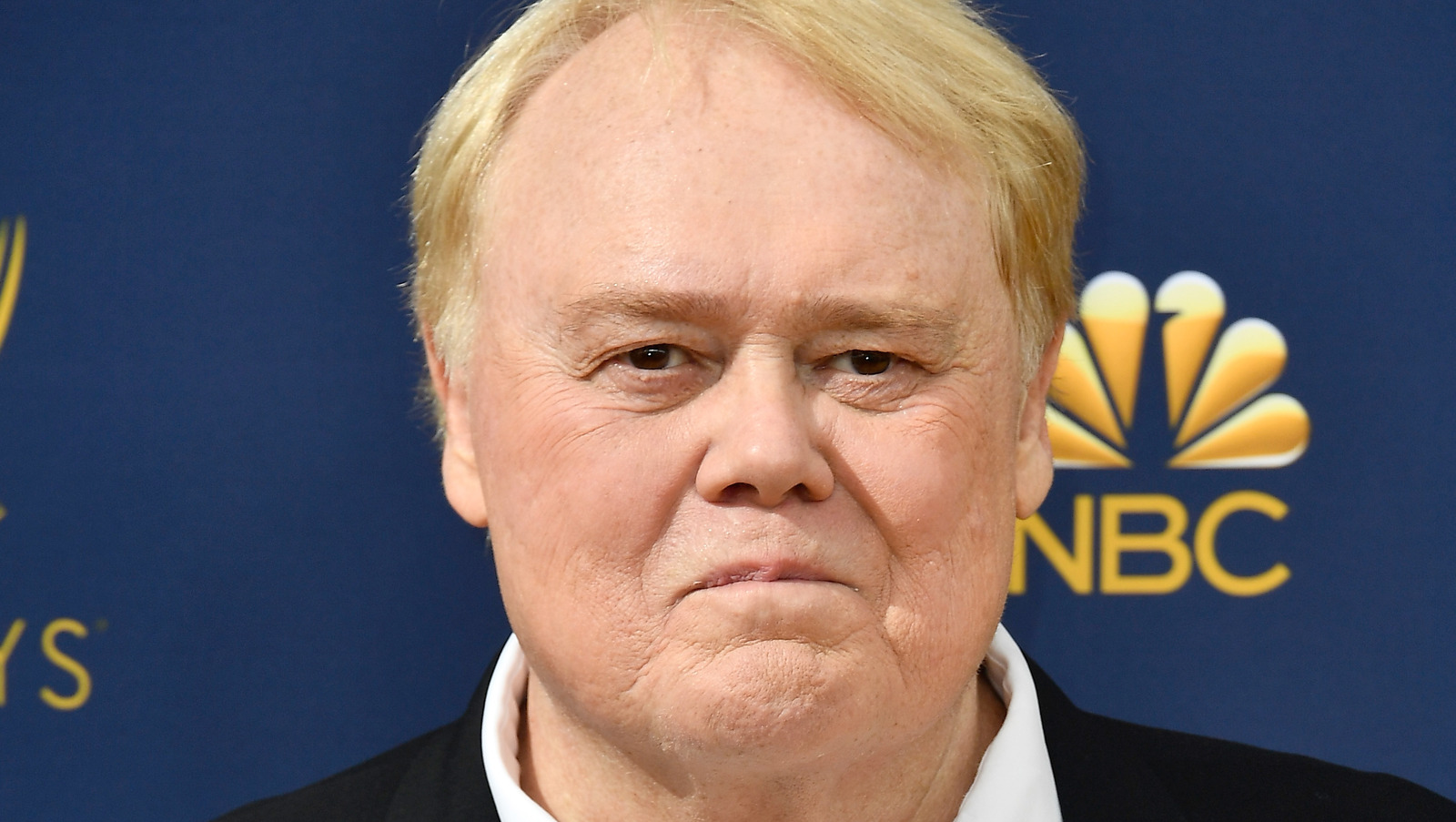 Louie Anderson's Net Worth At The Time Of His Death Might Surprise You