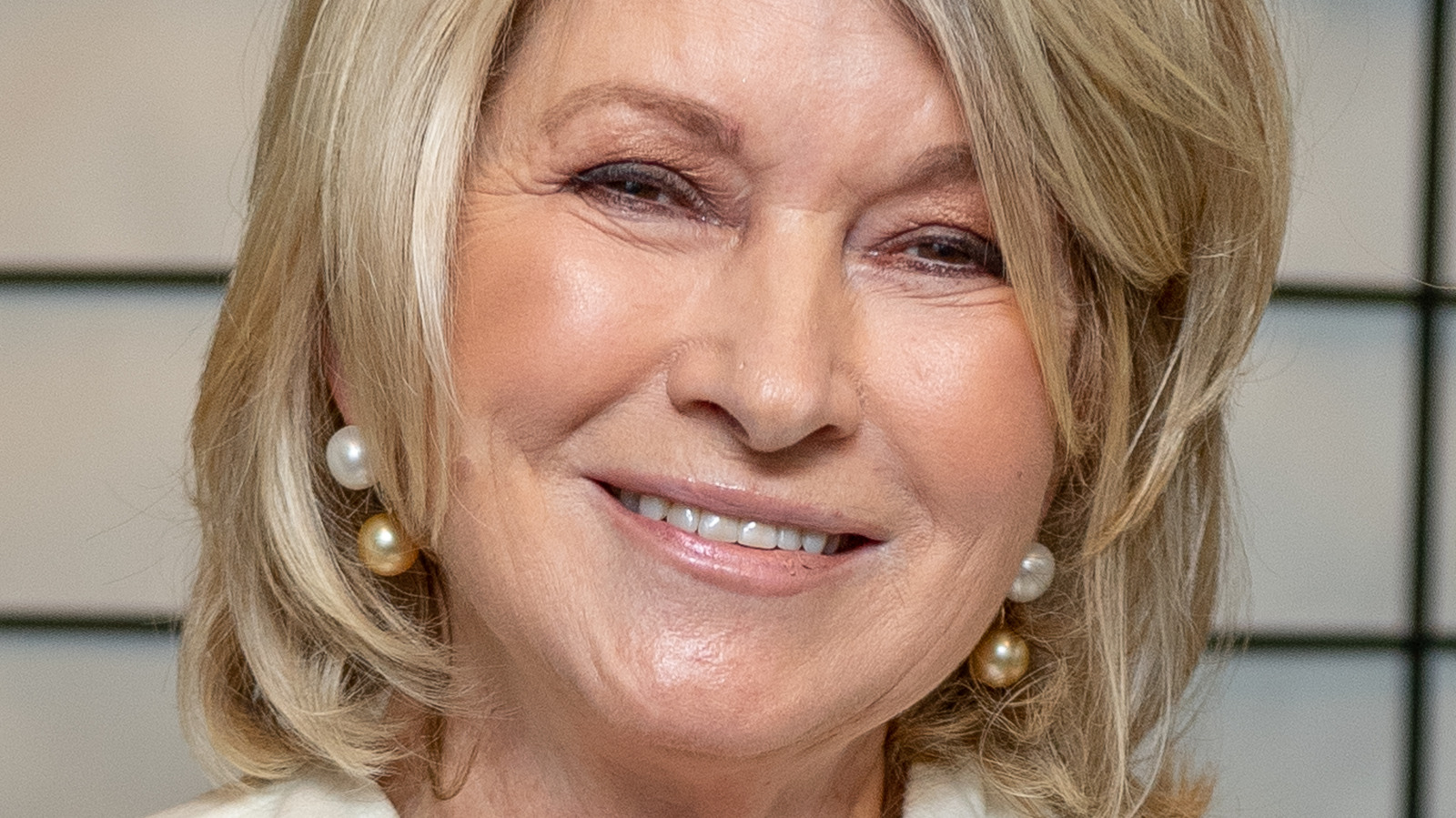 Martha Stewart's Best Tips For Removing Pet Hair From Your Home